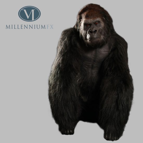 Albert - Millennium FX