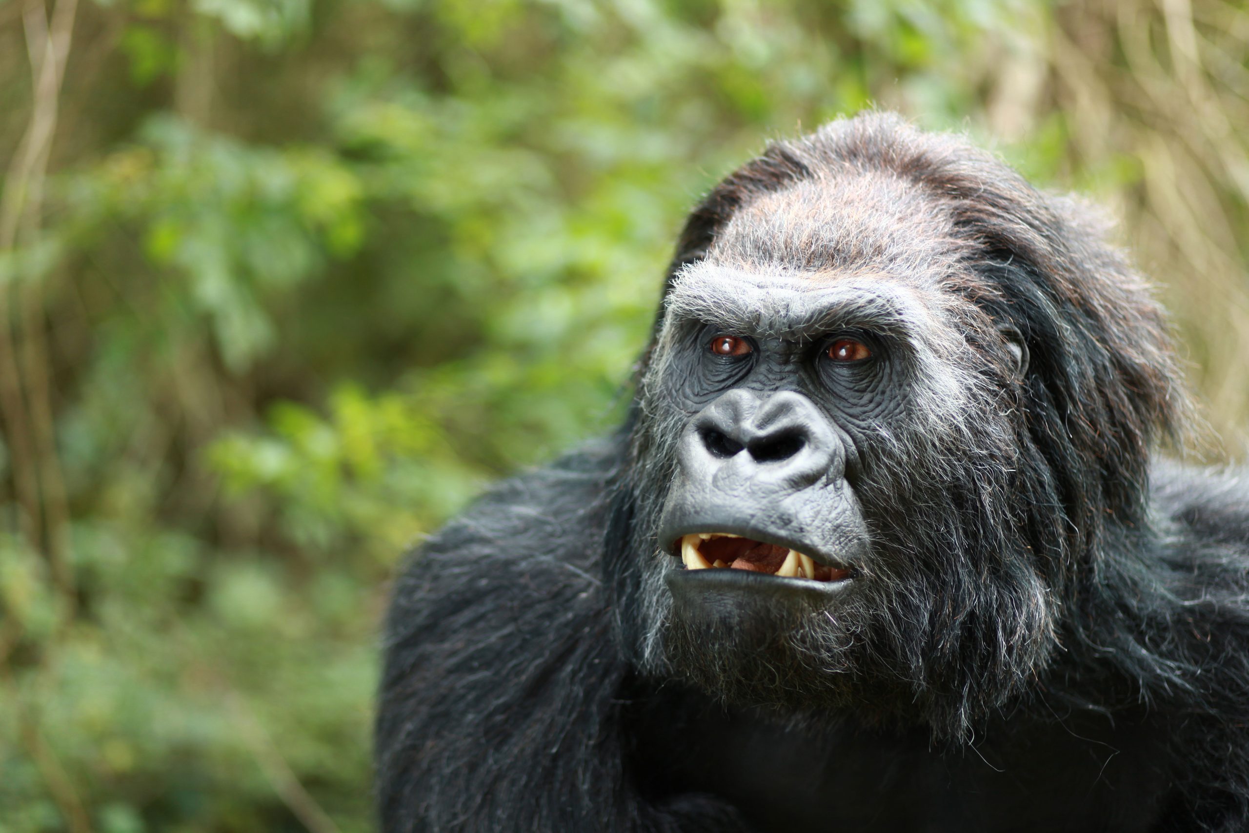 Prosthetics, Animatronic & Special FX | Millennium FX